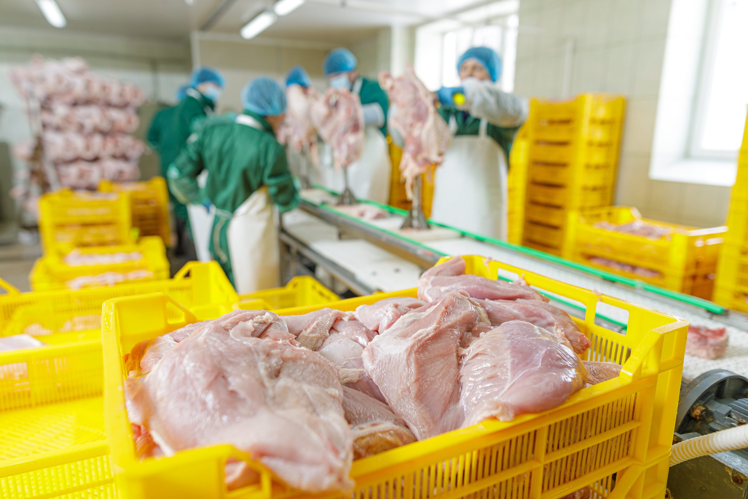 Hand-Slaughtered vs. Machine-Slaughtered Halal Meat - The Halal Food